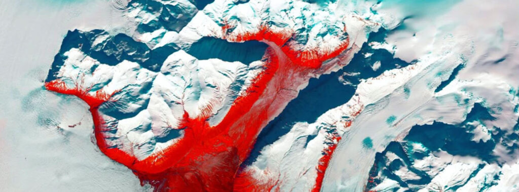 Raymond Yiu header - The International Anthony Burgess Foundation